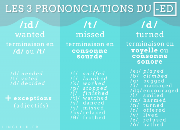 💬 Comment prononcer la terminaison -ed en anglais ? 🤔 (+ exercices ...