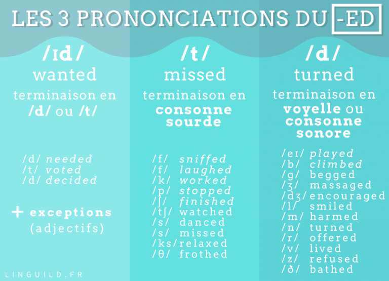 💬 Comment prononcer la terminaison -ed en anglais ? 🤔 (+ exercices ...