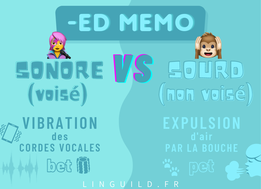 💬 Comment prononcer la terminaison -ed en anglais ? 🤔 (+ exercices ...