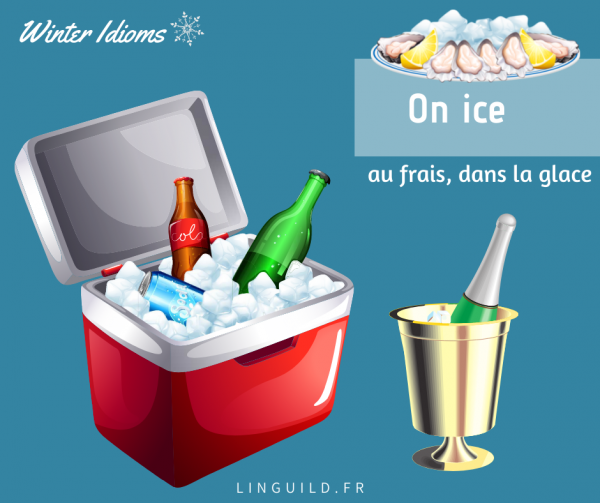 ️ Les 7 expressions anglaises d’hiver à connaître - LinguiLD