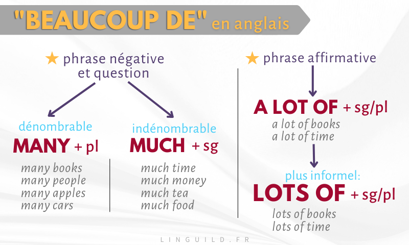 La différence entre many, much et a lot of 🤔 (partie 1) - LinguiLD