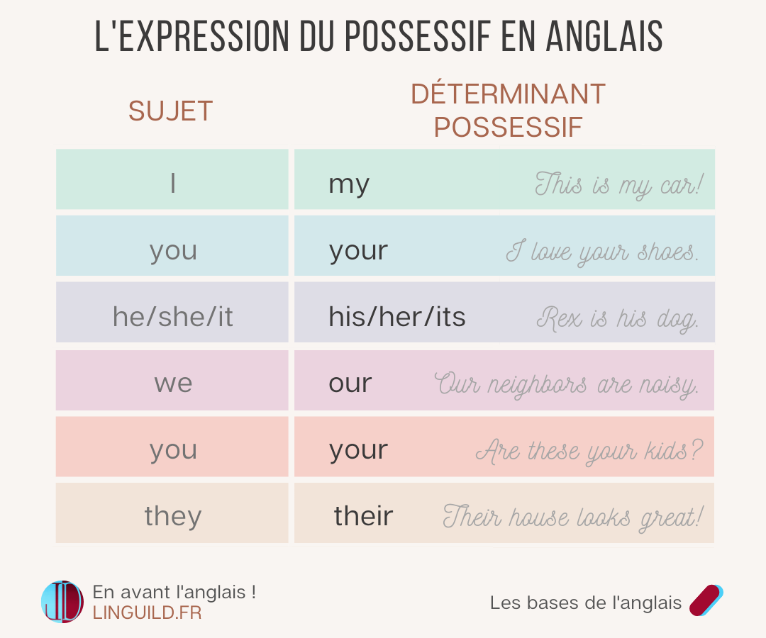 Les déterminants possessifs en anglais (+ exercices) - LinguiLD